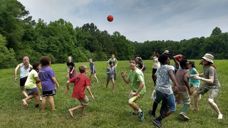 IMG_20170613_111027345_HDR | Clapping Hands Farm, LLC